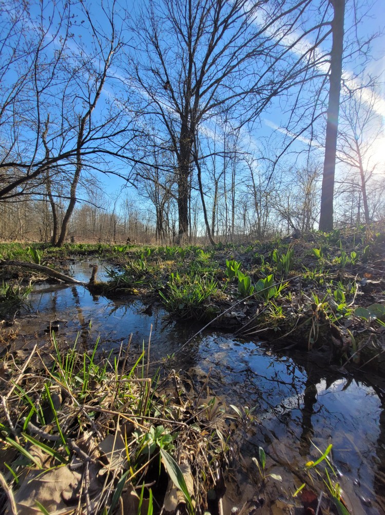 About Us – Leaf and Feather Farms